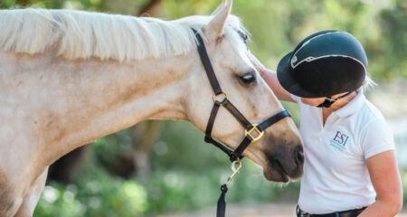 Equitation Science, Equine Training Online Courses by ESI International