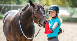 Equitation Science, Equine Training Online Courses by ESI International